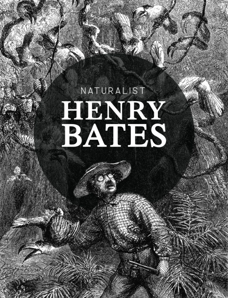 BATES GIN | THE EVOLUTION OF GIN